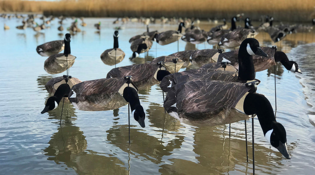 Articles – White Rock Decoys