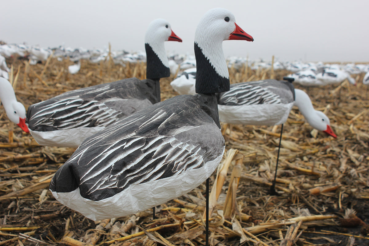 Upright Blue Goose Windsocks – White Rock Decoys