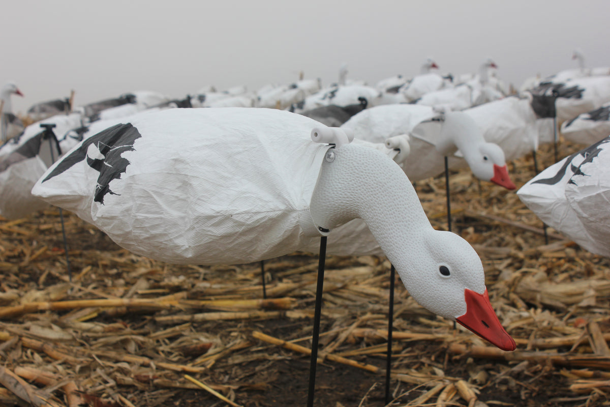 Feeder Snow Goose Windsocks – White Rock Decoys