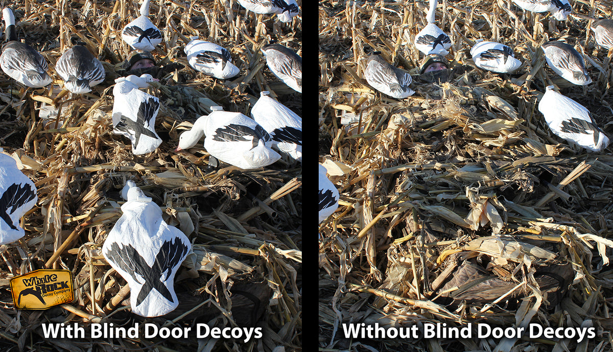 Snow Goose Blind Door Decoys – White Rock Decoys